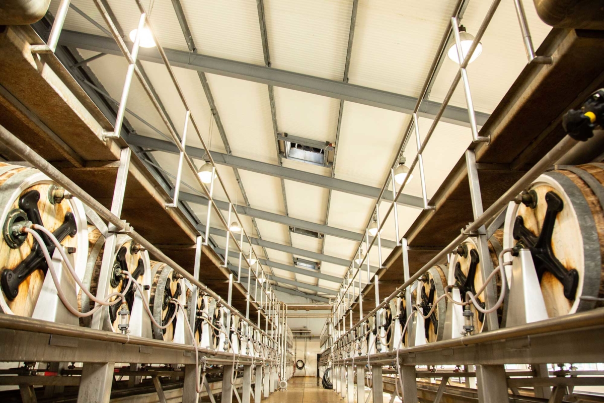 General Brewery Works – Geo. Hodges & Son Ltd.